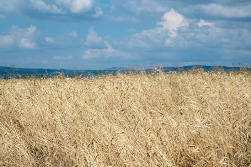 Village de Banon – Mairie de Banon